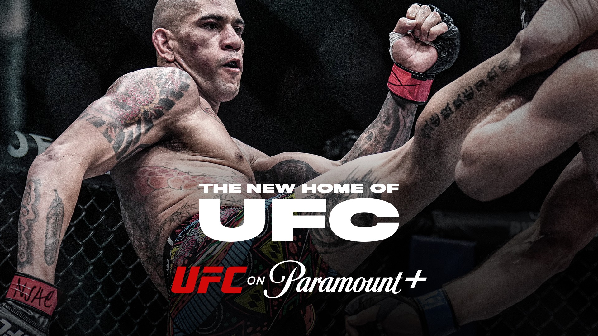 Paramount+ with SHOWTIME Is Now the New Home of UFC | DIRECTV Insider